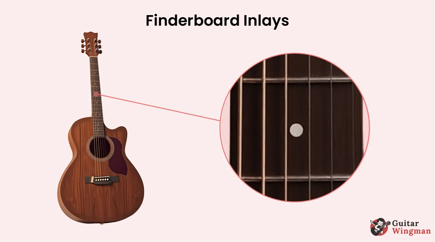 Parts, Anatomy, and Components of an Acoustic Guitar