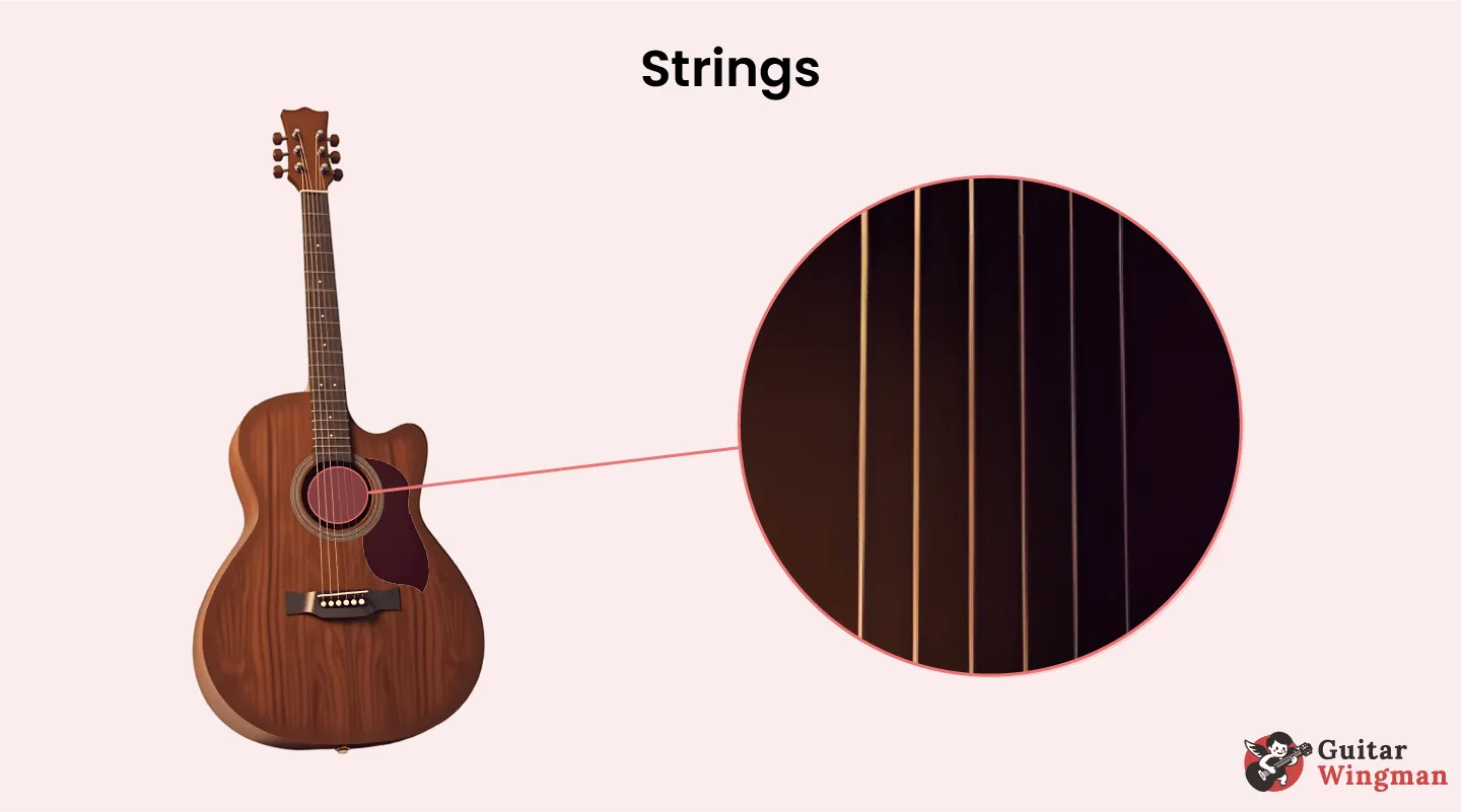 Parts, Anatomy, and Components of an Acoustic Guitar
