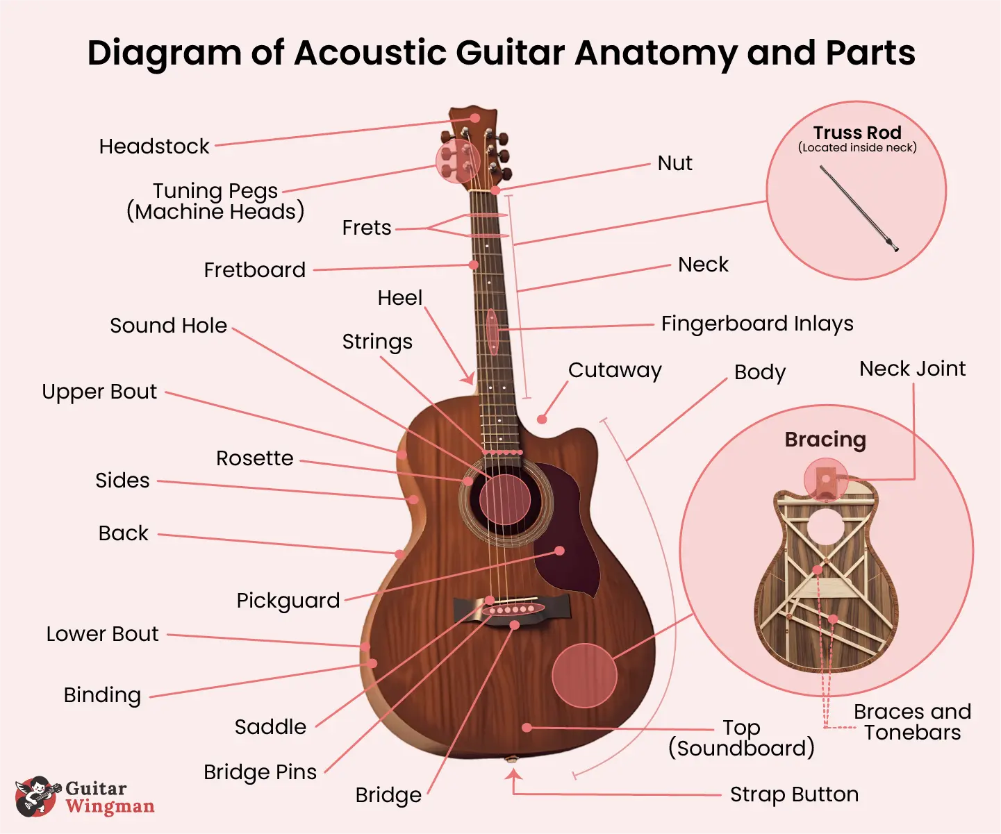 Parts, Anatomy, and Components of an Acoustic Guitar