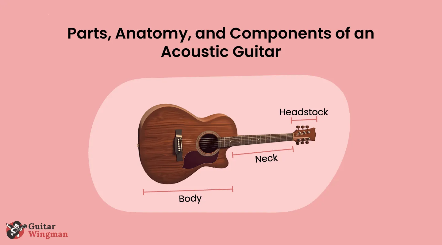 Parts, Anatomy, and Components of an Acoustic Guitar